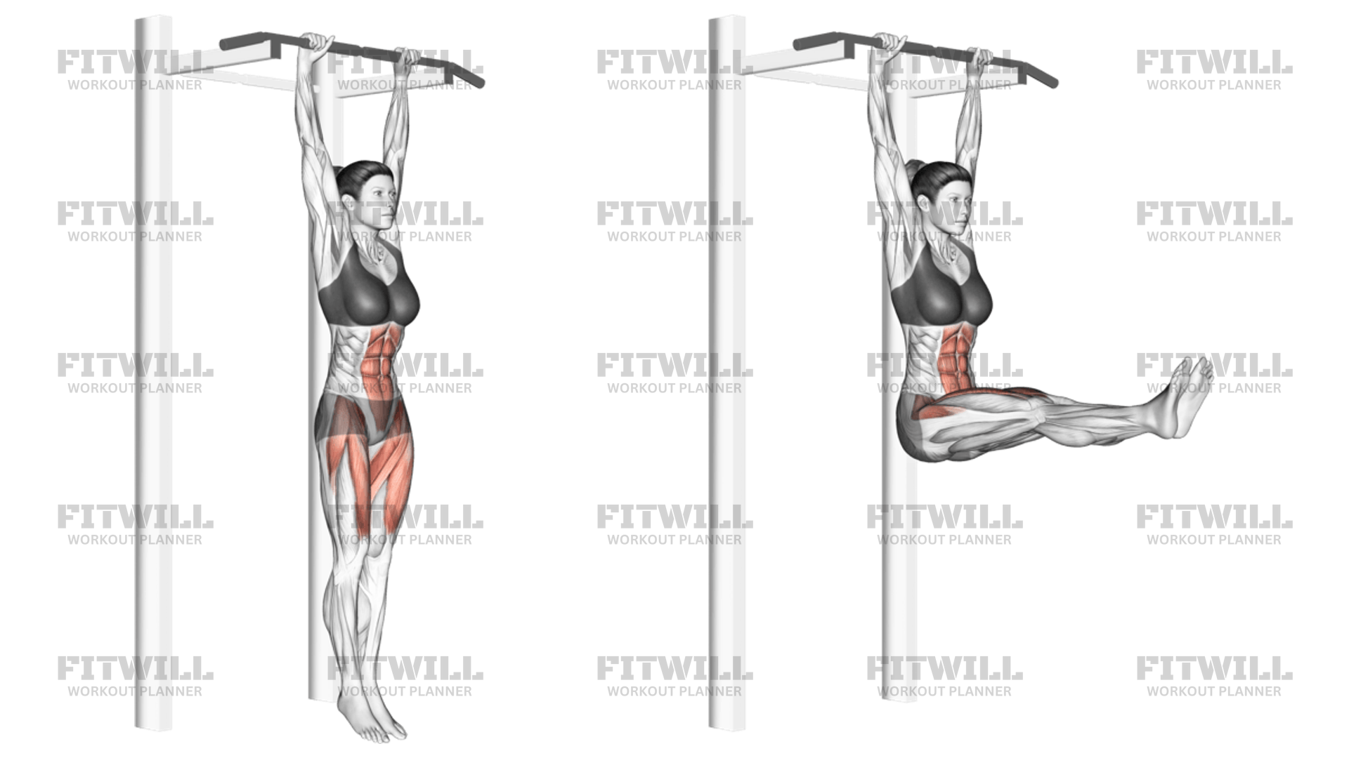 Hanging Straight Leg Raise: Exercise Guide, Video, Techniques, Benefits ...