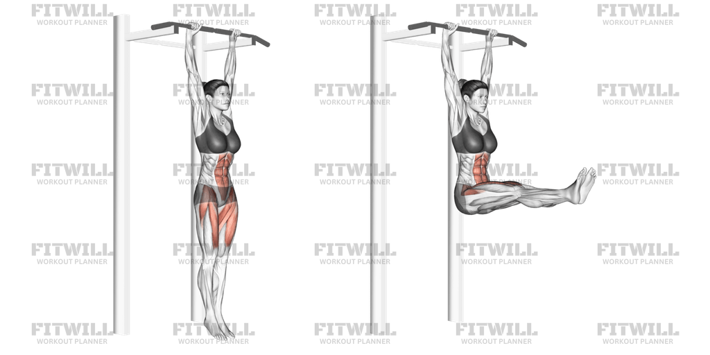 Hanging Straight Leg Raise: Exercise Guide, Video, Techniques, Benefits ...