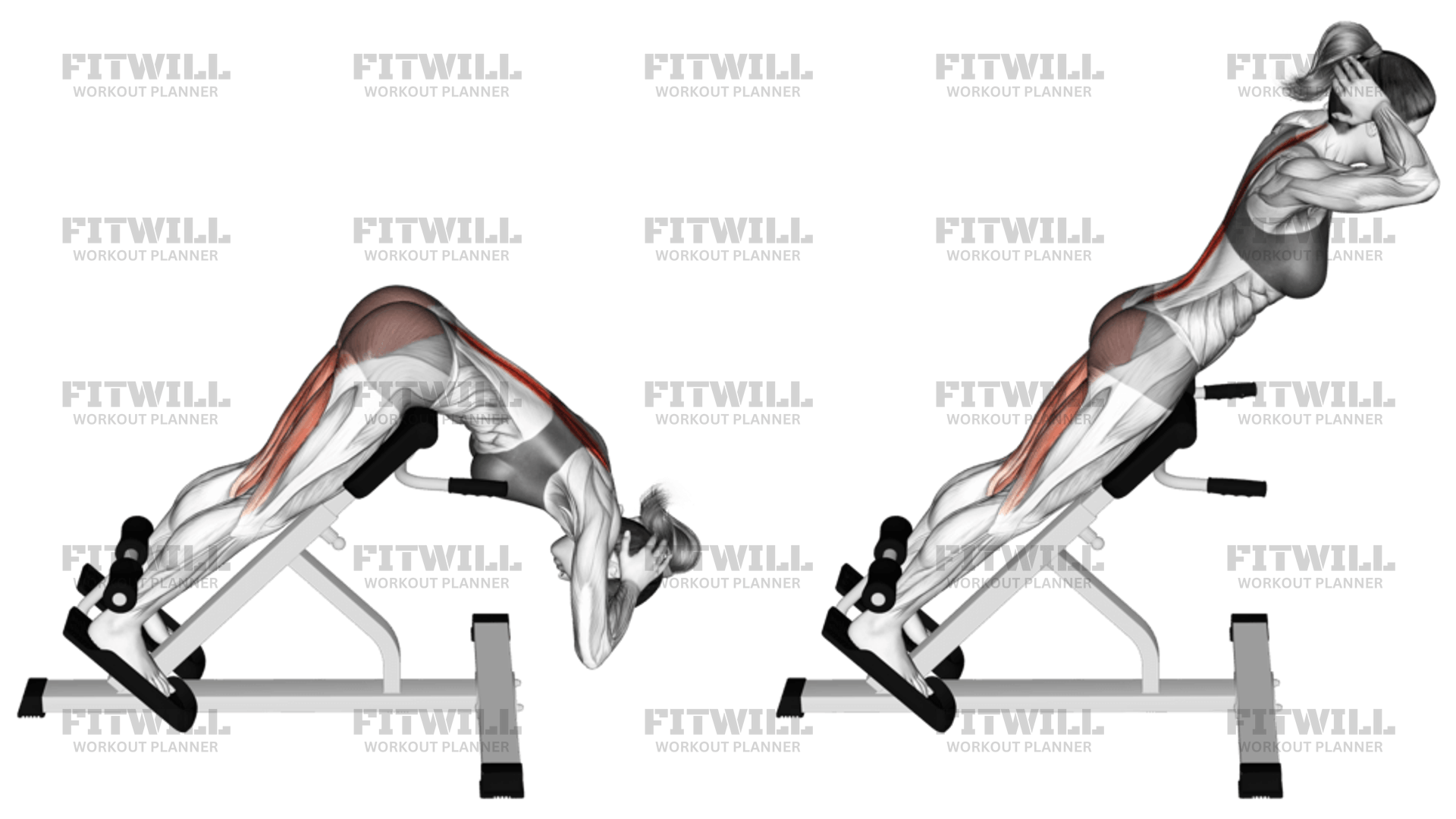 Hiperextensión: Guía de Ejercicios, Técnicas, Beneficios, Cómo ...