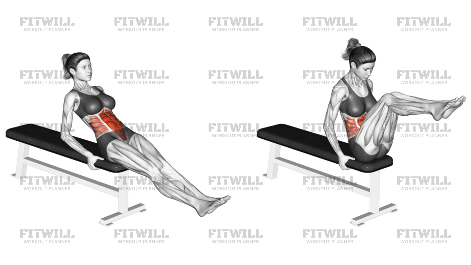 Seated Leg Raise: Exercise Guide, Techniques, Benefits, How to, Muscles ...