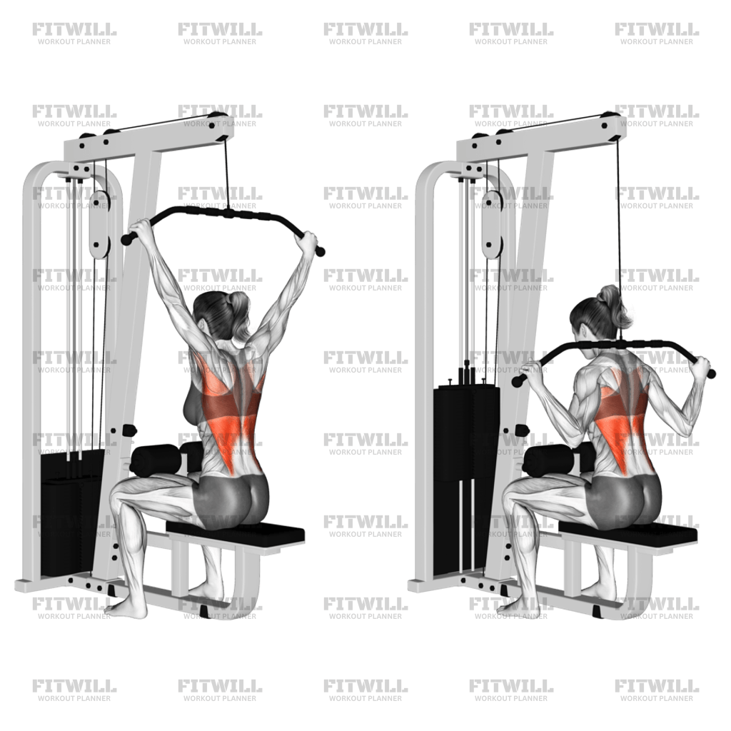 Cable Wide Grip Rear Pulldown Behind Neck: Exercise Guide, Techniques ...