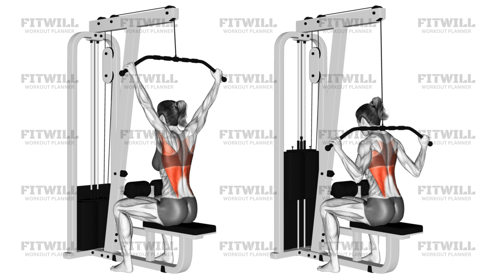 Cable Wide Grip Rear Pulldown Behind Neck: Exercise Guide, Techniques, Benefits, How to, Muscles ...