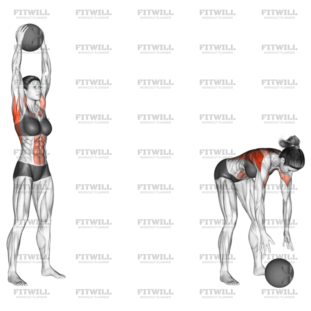 Medicine Ball Overhead Slam: Exercise Guide, Video, Techniques ...