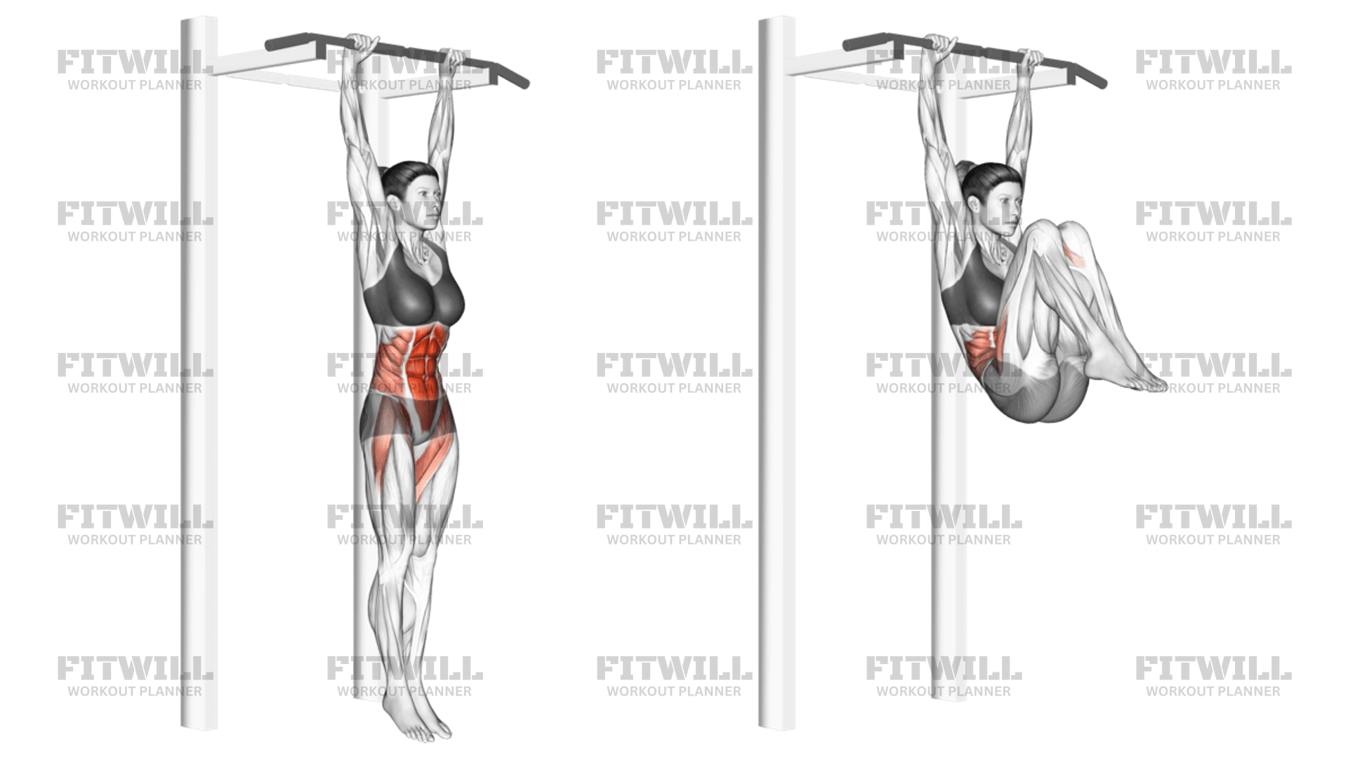 Hanging Leg Hip Raise: Exercise Guide, Video, Techniques, Benefits, How ...