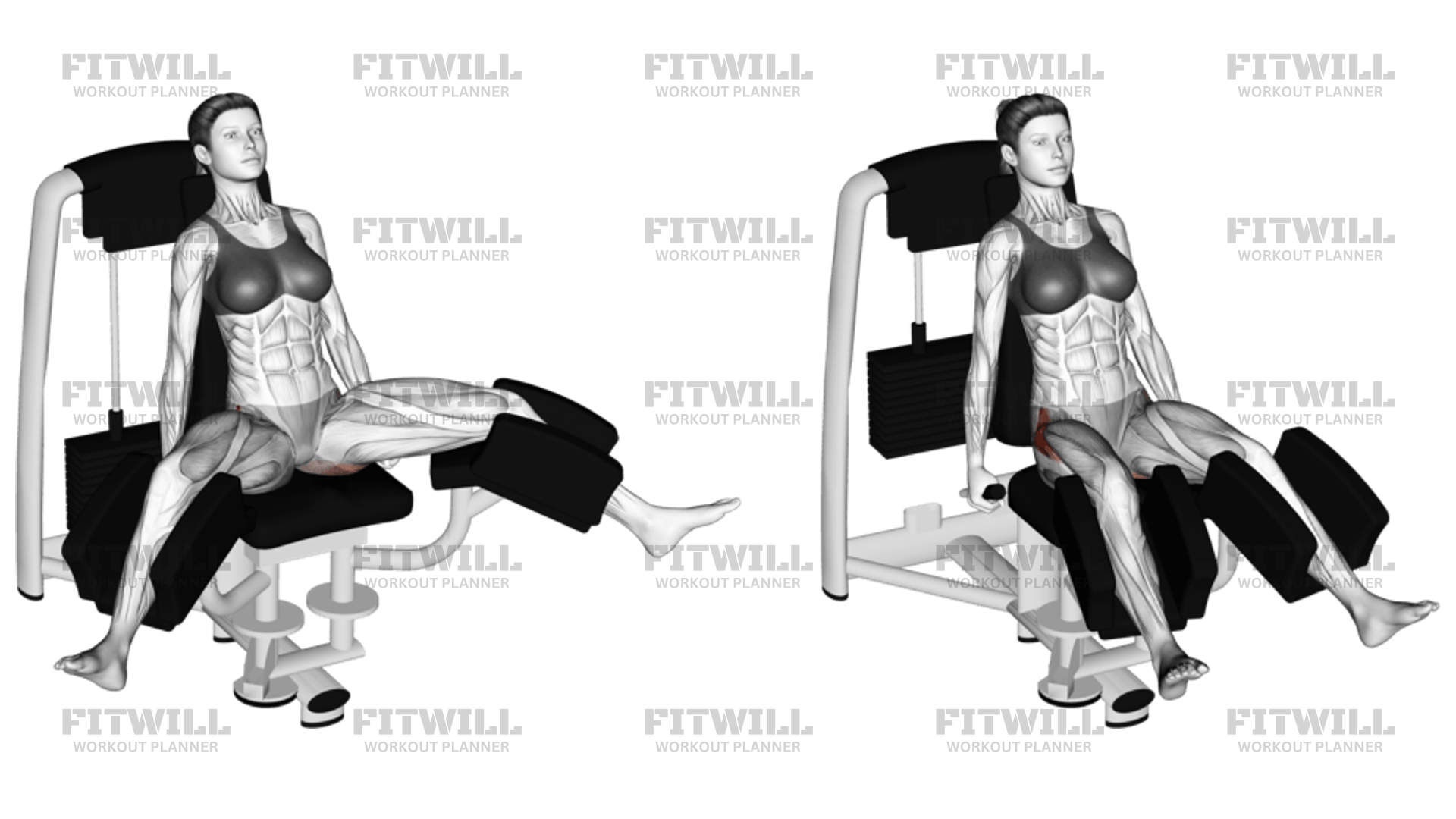 Lever Seated Hip Adduction (VERSION 2): Exercise Guide, Video ...
