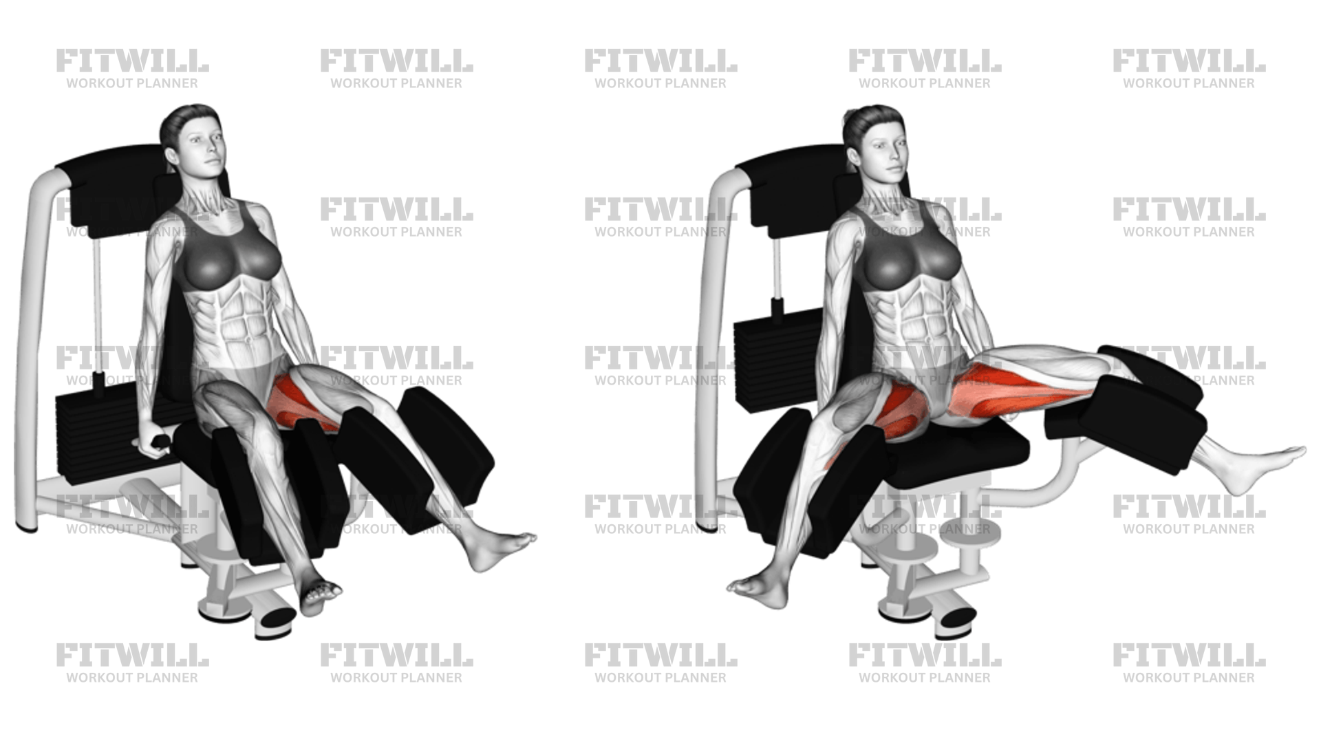 Abducción De Cadera Sentado Con Palanca (VERSIÓN 2): Guía de Ejercicios ...