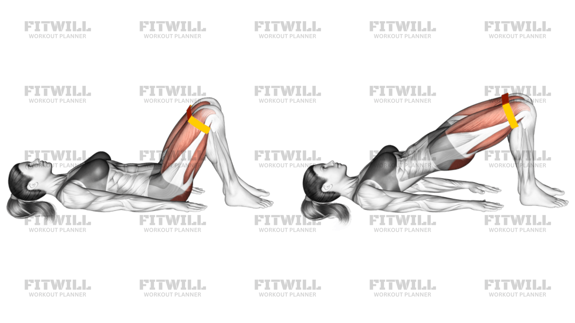 Resistance Band Glute Bridge: Exercise Guide, Video, Techniques ...