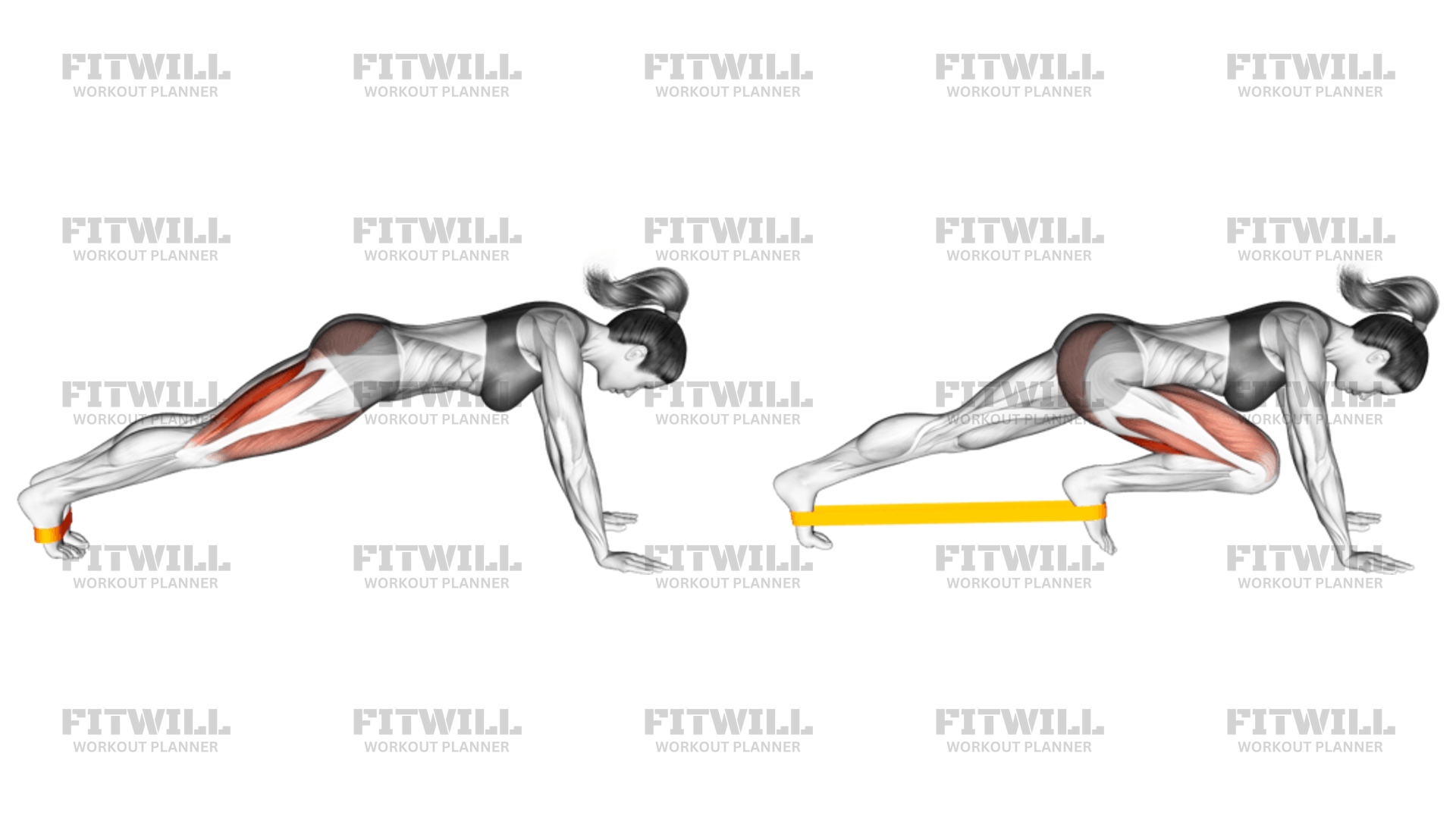 Resistance Band Plank March: Exercise Guide, Video, Techniques, Benefits, How to, Muscles Worked ...