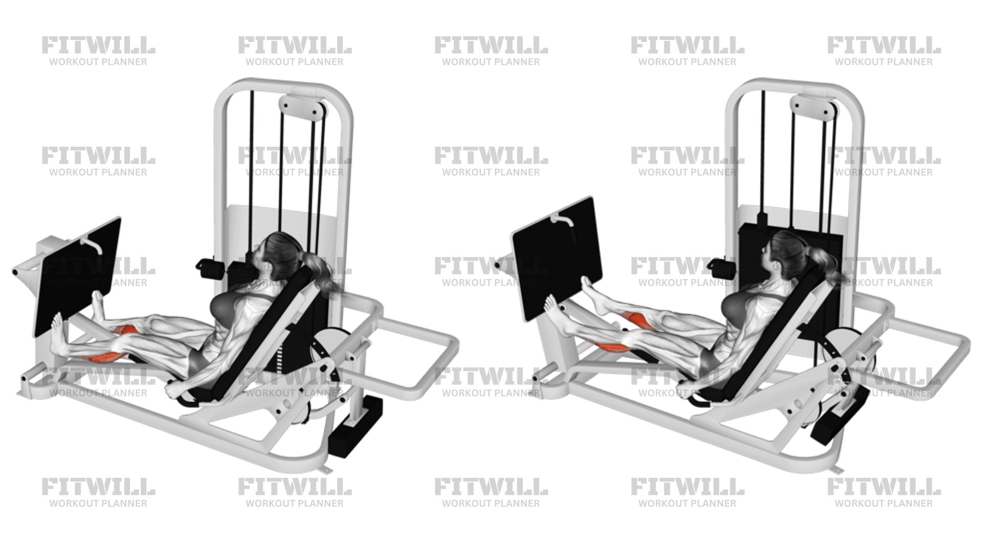 Lever Seated Calf Press: Exercise Guide, Video, Techniques, Benefits ...