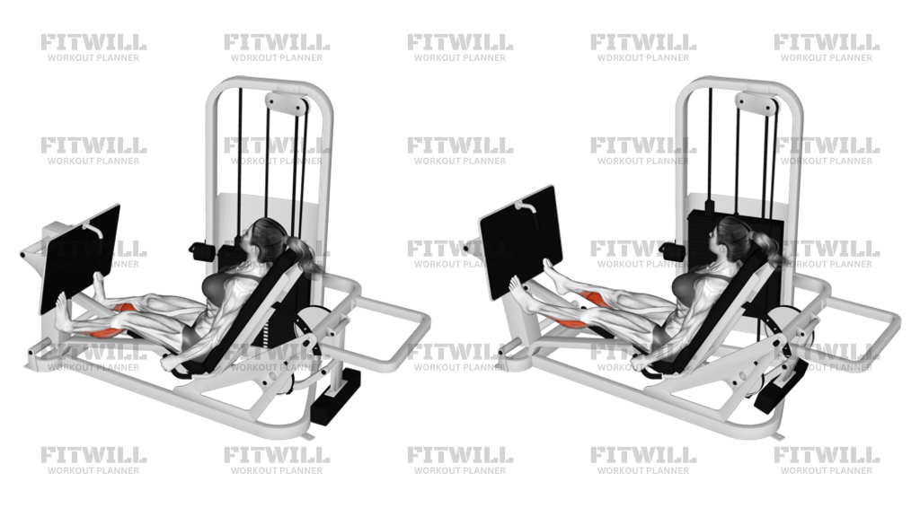 Lever Seated Calf Press: Exercise Guide, Video, Techniques, Benefits ...
