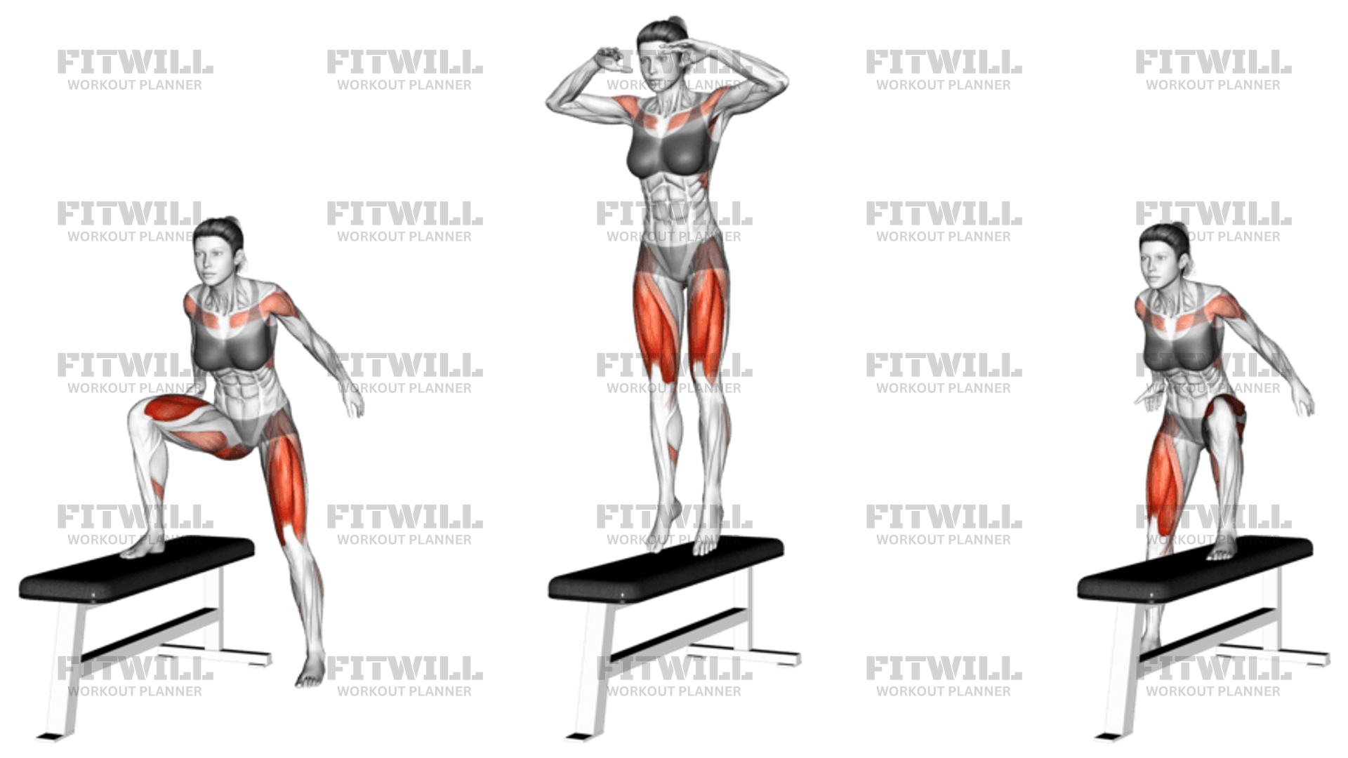 Side Jump Step Up: Exercise Guide, Techniques, Benefits, How to ...