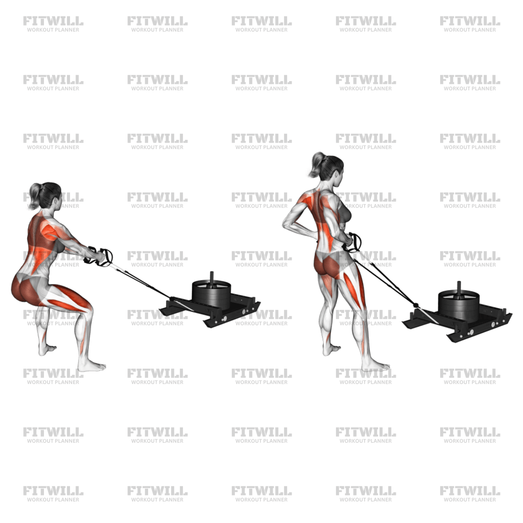 Power Sled Pull Row: Exercise Guide, Techniques, Benefits, How to ...