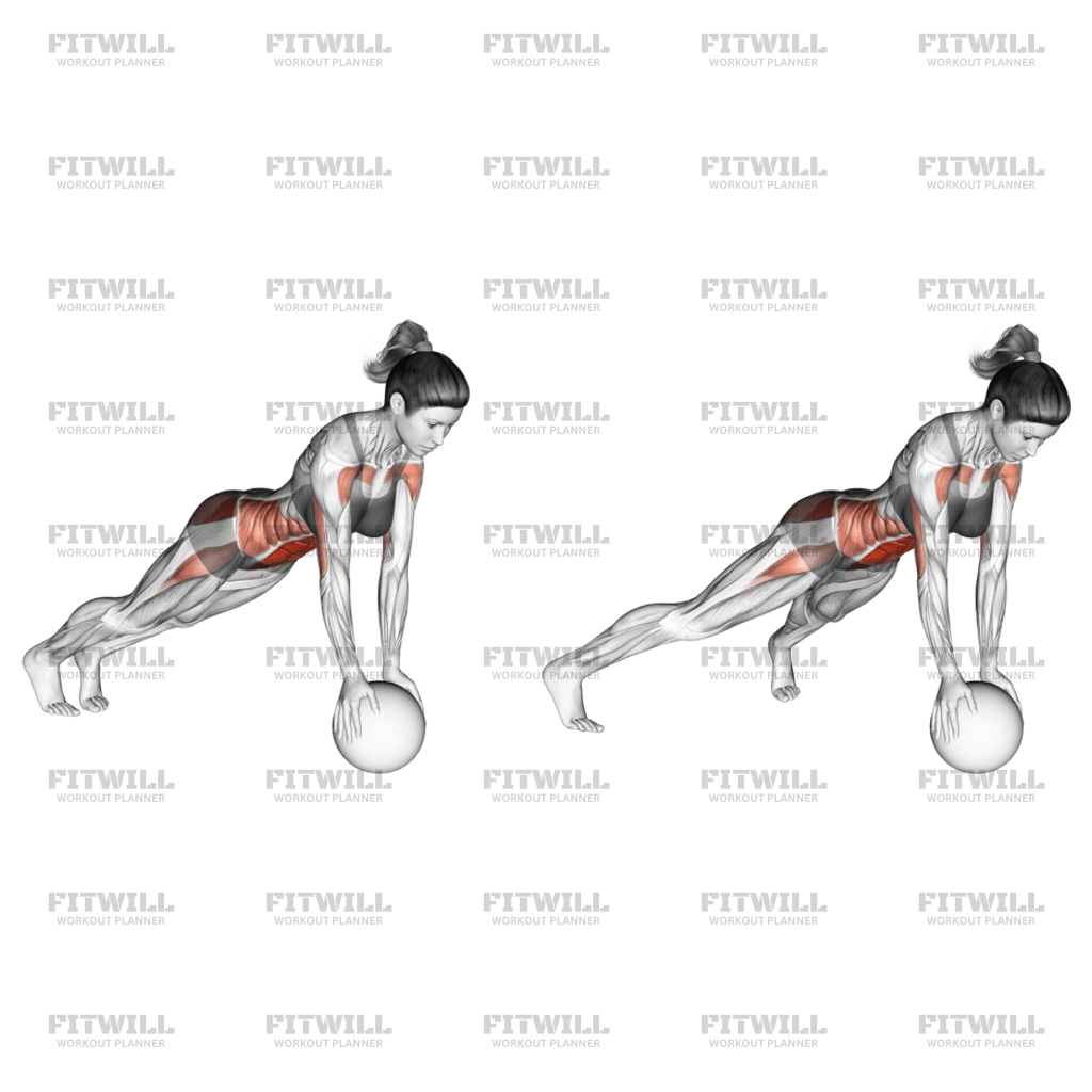 Jack Plank On Medicine Ball: Exercise Guide, Techniques, Benefits, How ...