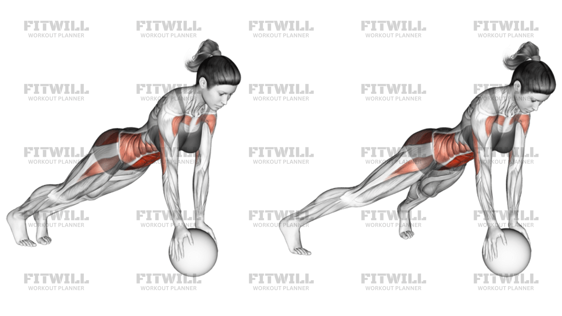 Jack Plank On Medicine Ball: Exercise Guide, Techniques, Benefits, How ...
