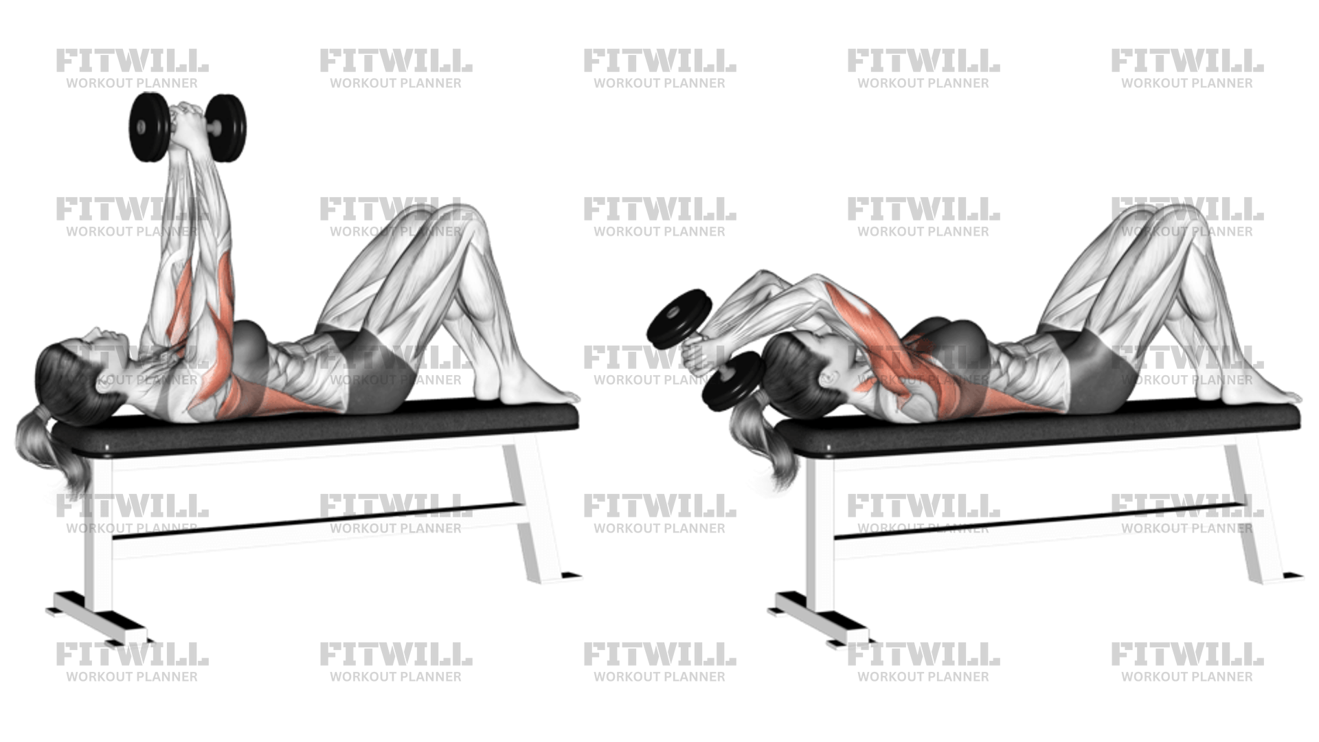 Pullover Con Mancuernas Y Brazos Flexionados Con Rodillas Dobladas ...