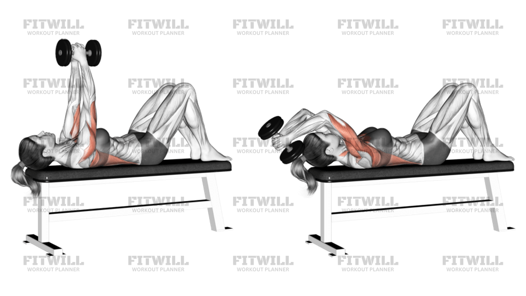 Pull Over Com Halteres E Braços Dobrado Com Joelhos Flexionados: Guia ...