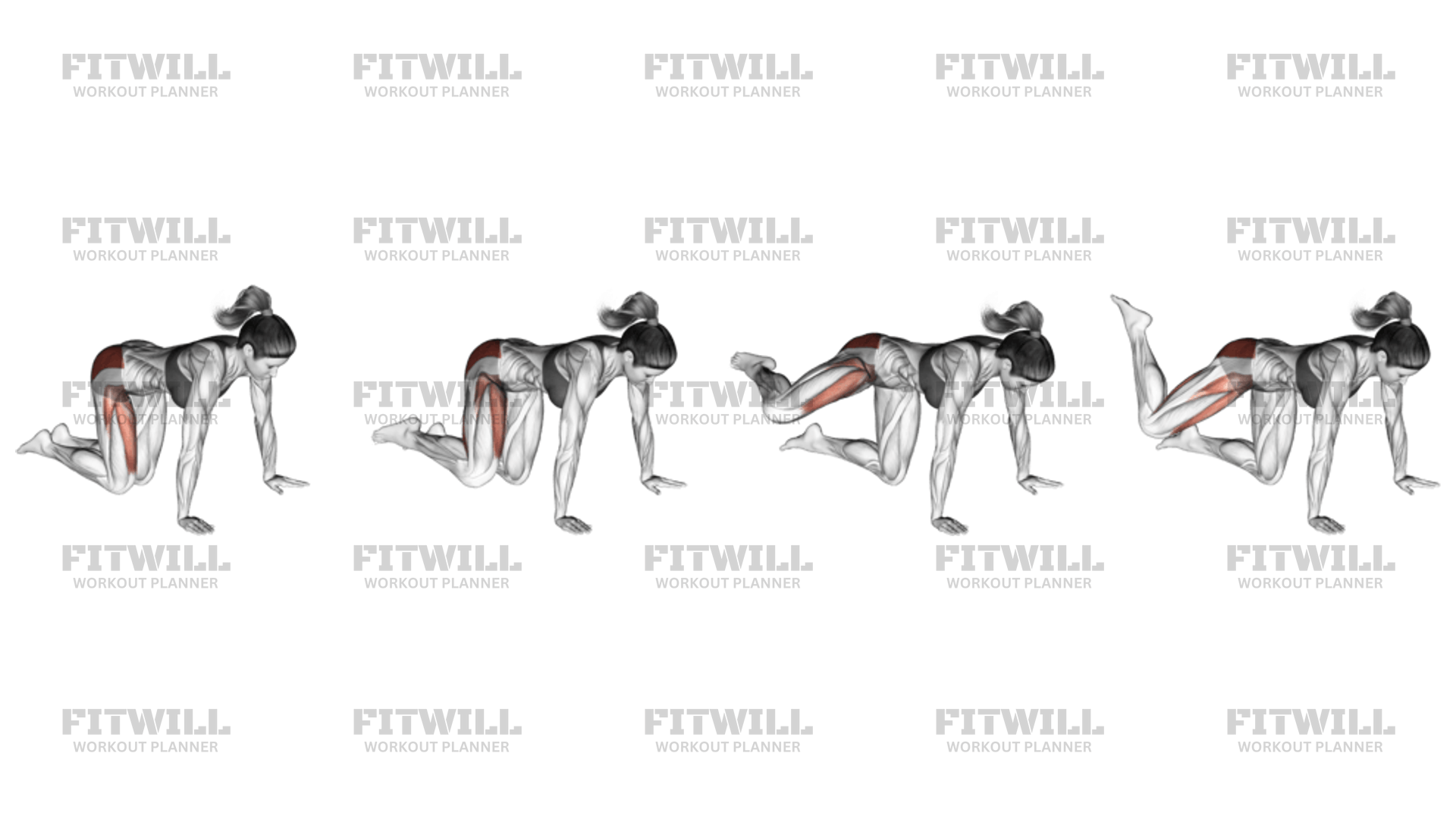 Bent Leg Circle Kick (kneeling): Exercise Guide, Techniques, Benefits ...