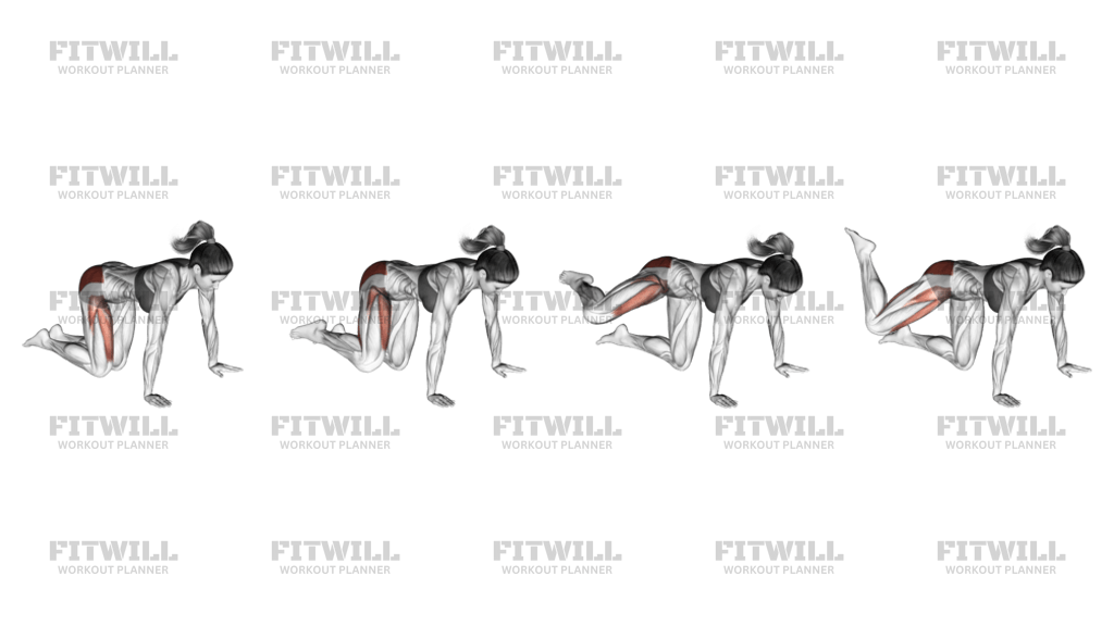 Bent Leg Circle Kick (kneeling): Guide, Techniques, Benefits, How to ...