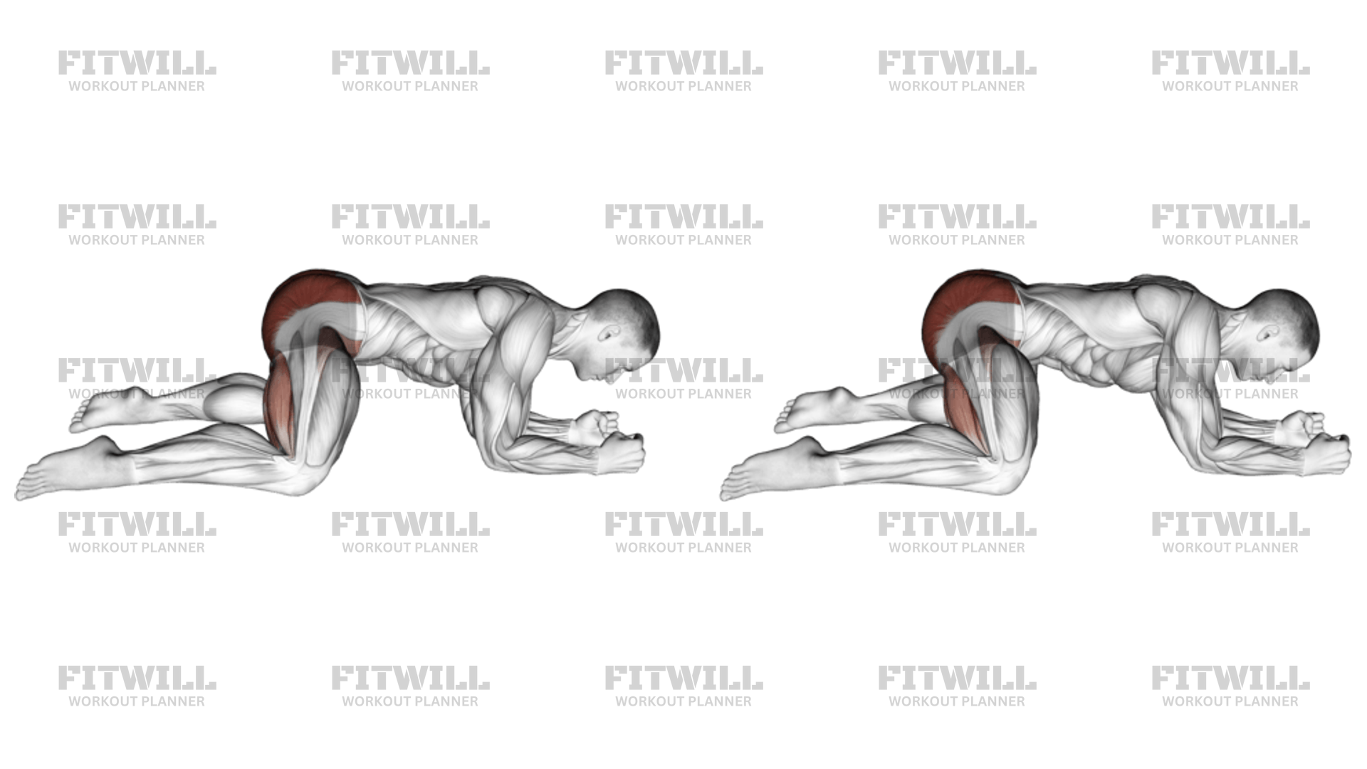 Rocking Frog Stretch: Exercise Guide, Video, Techniques, Benefits, How to, Muscles Worked, Tips ...