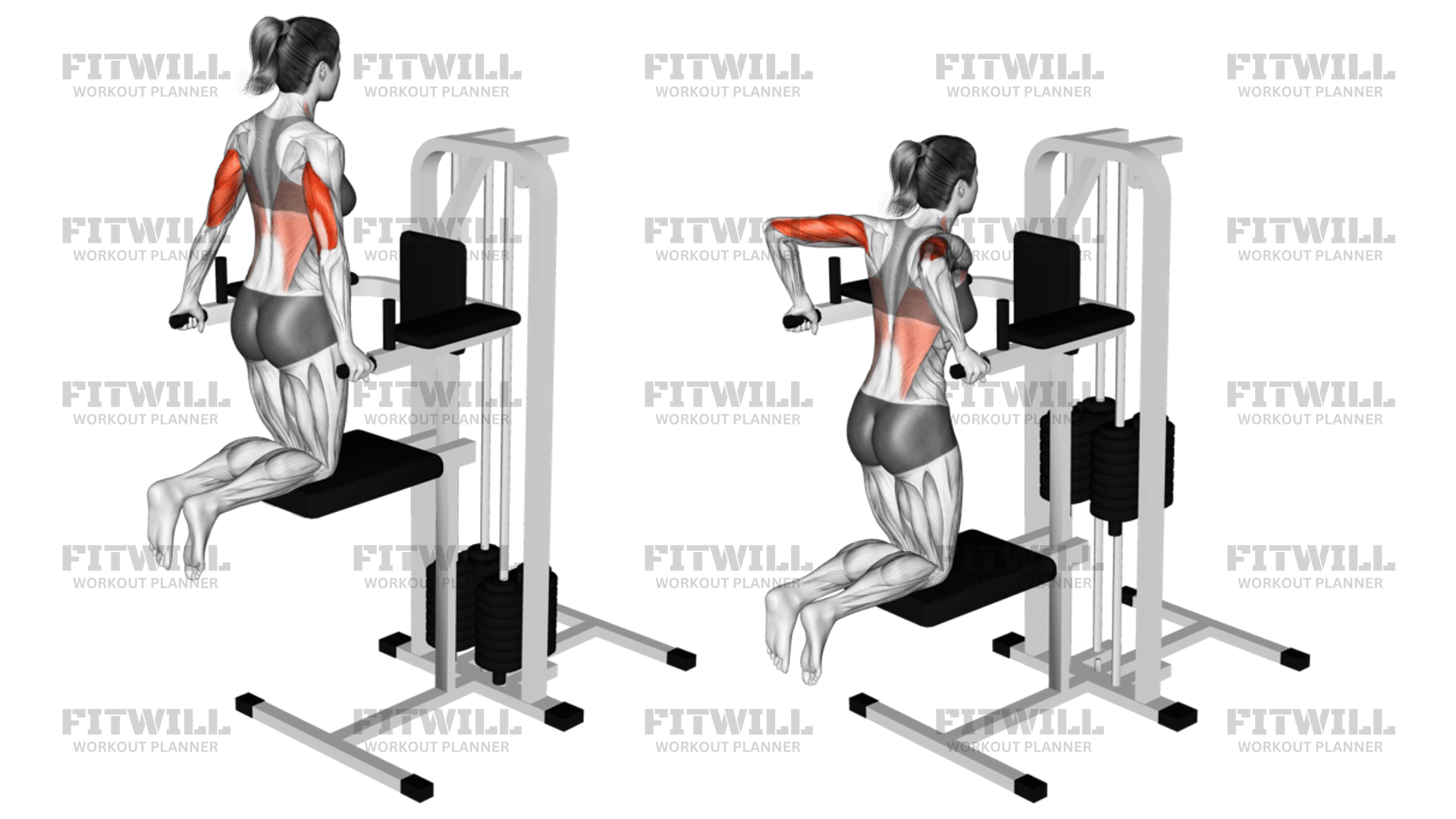 Assisted Triceps Dip Kneeling Exercise Guide Video Techniques Benefits How To Muscles