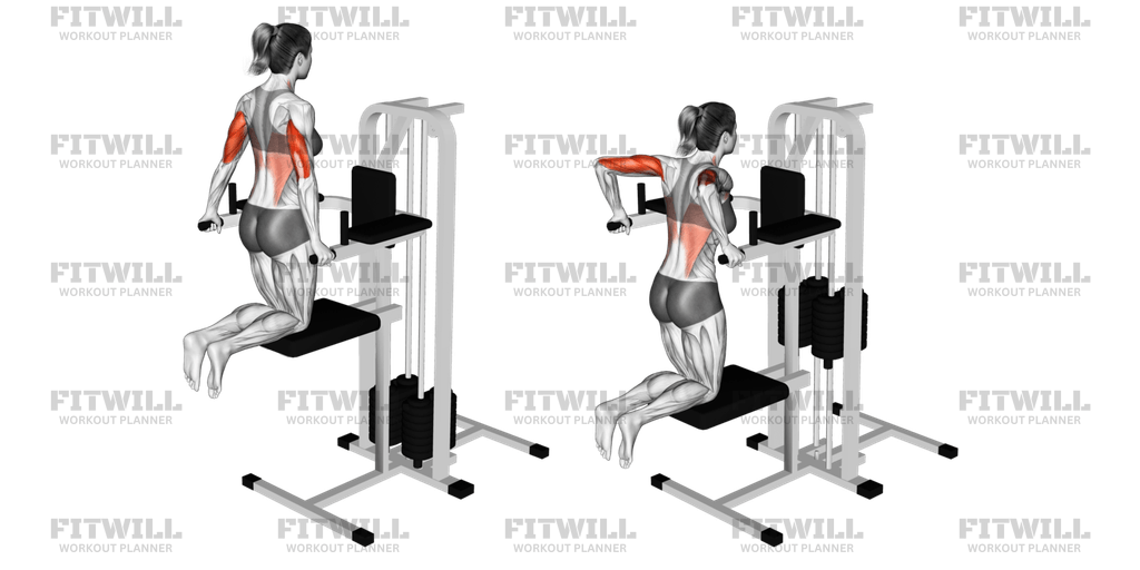 Assisted Triceps Dip (kneeling): Exercise Guide, Video, Techniques ...