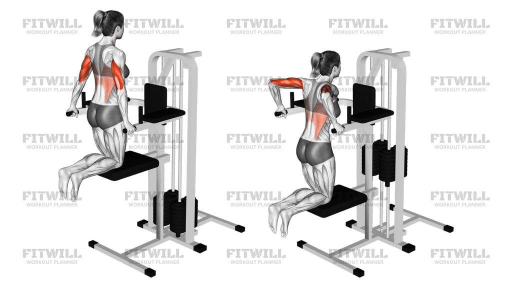 Assisted Triceps Dip (kneeling): Exercise Guide, Video, Techniques ...