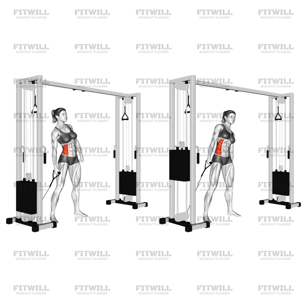 Cable Side Bend: Exercise Guide, Video, Techniques, Benefits, How to, Muscles Worked, Tips ...
