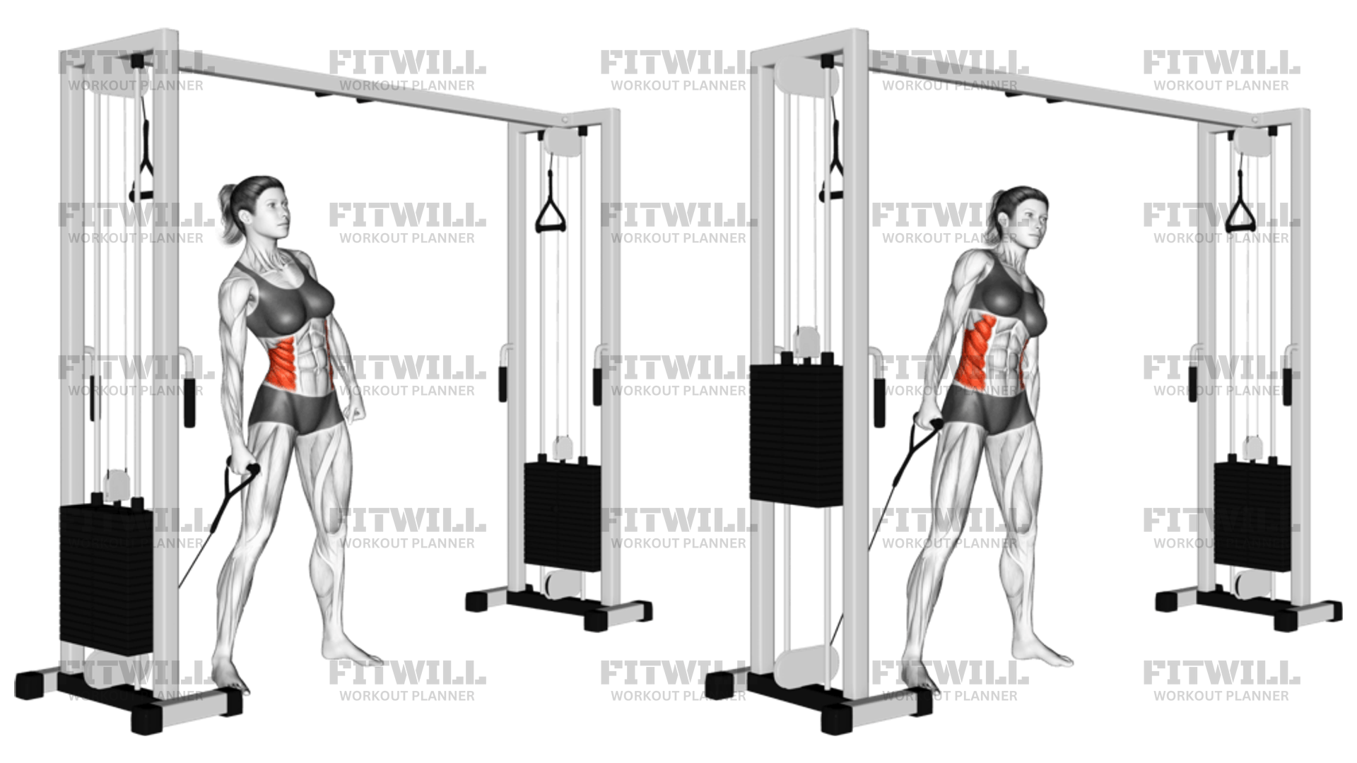 Cable Side Bend: Exercise Video | Fitwill