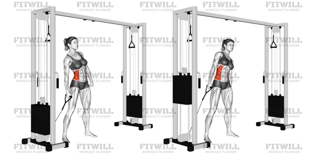 Cable Side Bend: Exercise Video | Fitwill