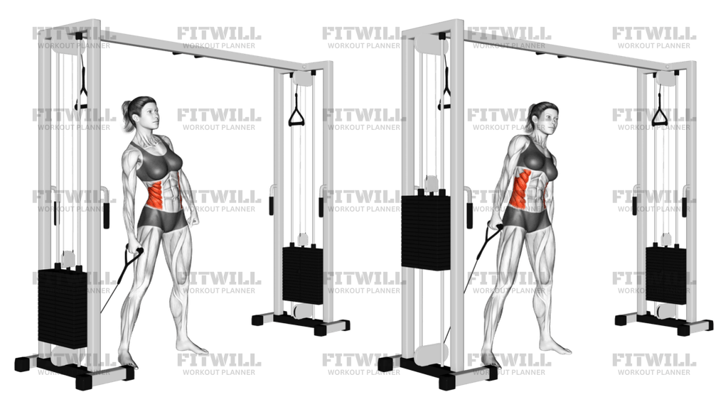 Cable Side Bend: Exercise Guide, Video, Techniques, Benefits, How to ...