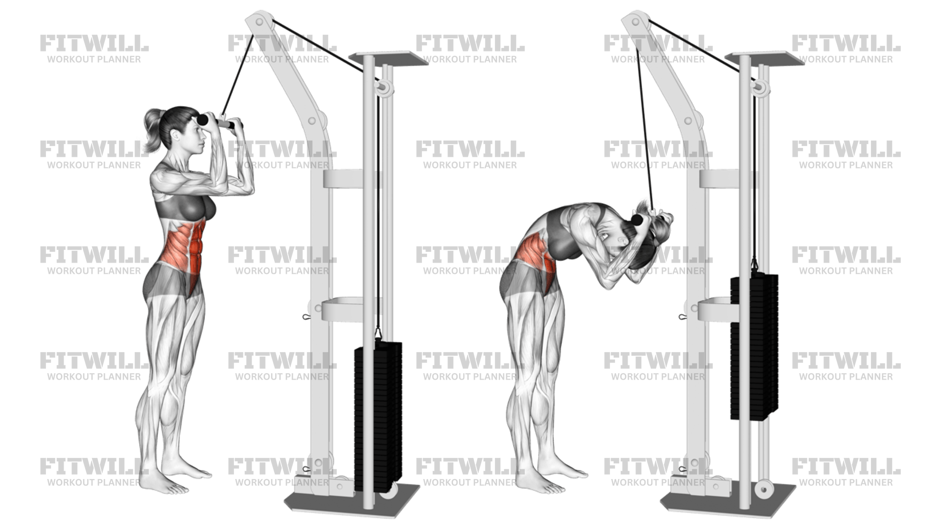 Cable Standing Crunch: Exercise Guide, Techniques, Benefits, How to ...