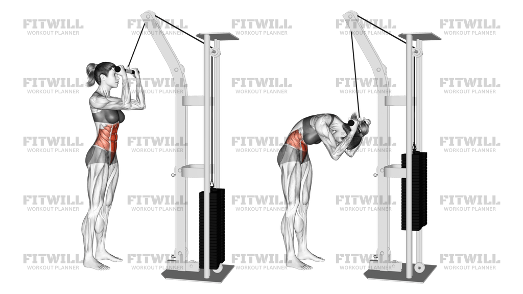 Cable Standing Crunch: Exercise Guide, Techniques, Benefits, How to ...