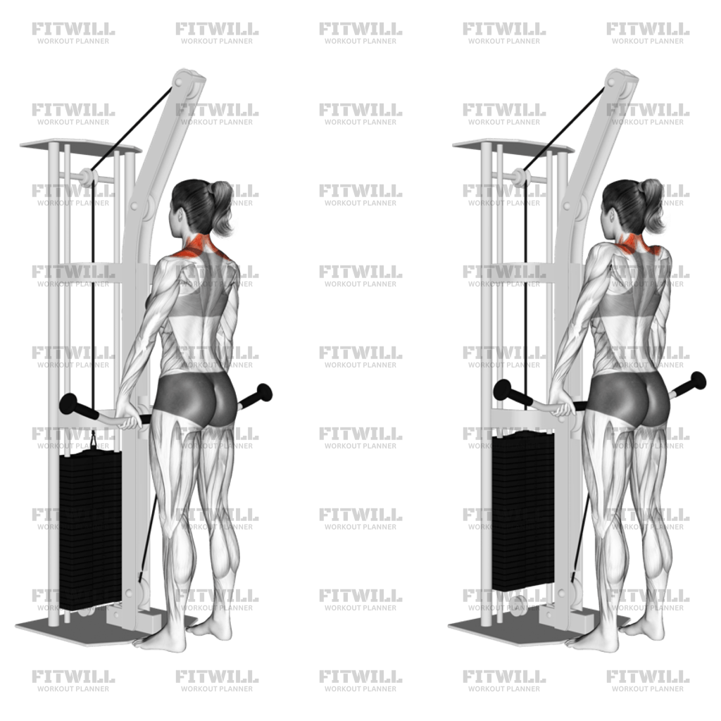 Cable Shrug: Exercise Guide, Techniques, Benefits, How to, Muscles ...