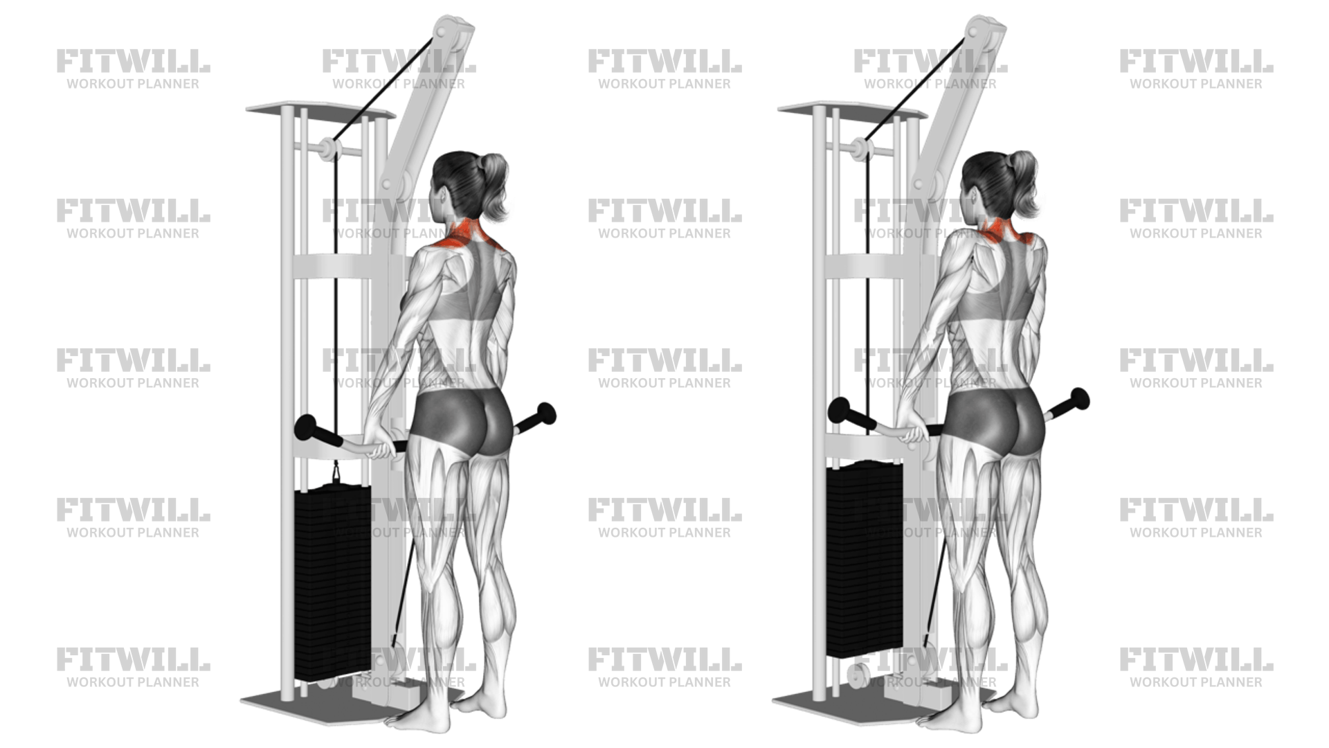 Cable Shrug: Exercise Guide, Techniques, Benefits, How to, Muscles ...