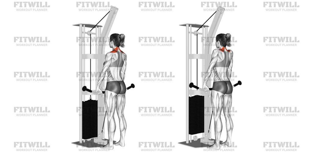 Cable Shrug: Exercise Guide, Techniques, Benefits, How to, Muscles ...