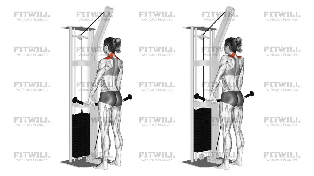 Cable Shrug: Exercise Guide, Techniques, Benefits, How to, Muscles ...