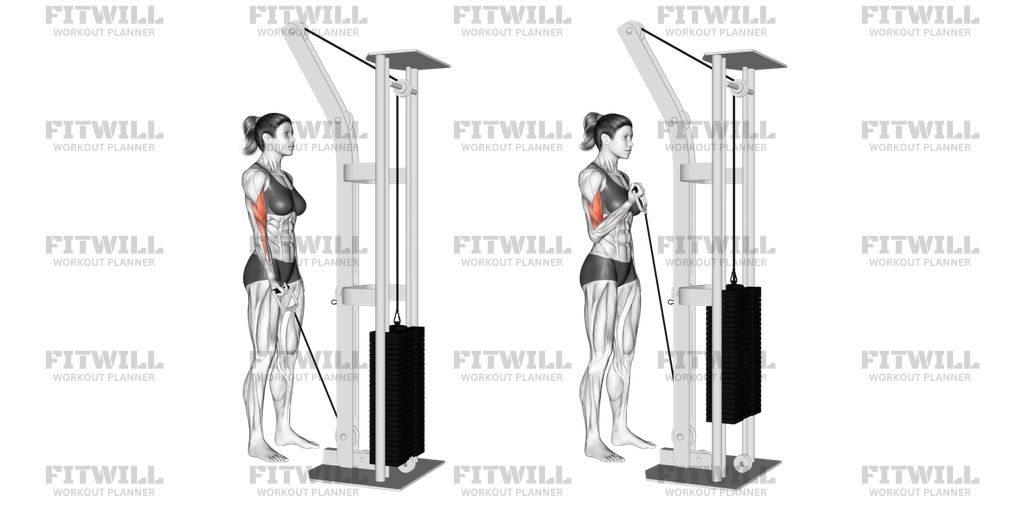 Cable One-Arm Curl: Exercise Guide, Video, Techniques, Benefits, How to ...