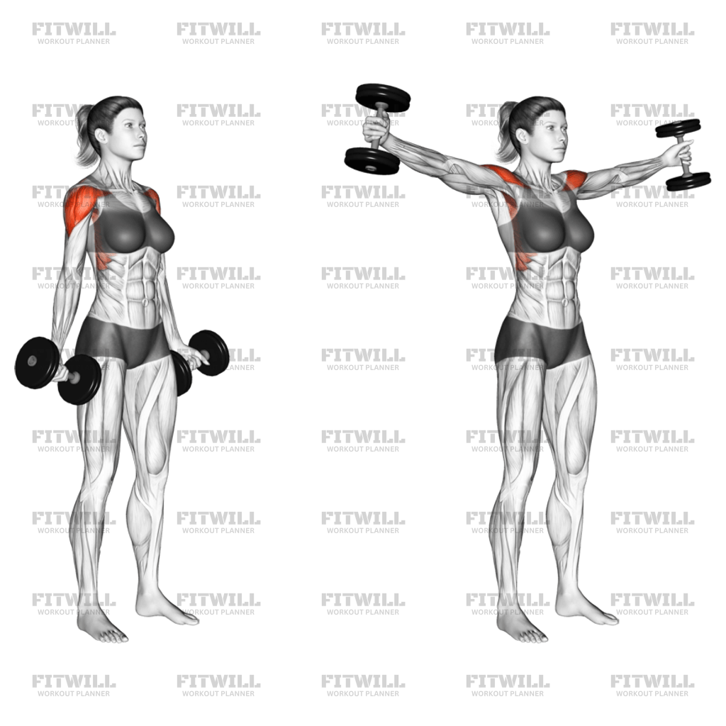 Dumbbell Full Can Lateral Raise: Exercise Guide, Techniques, Benefits, How to, Muscles Worked ...