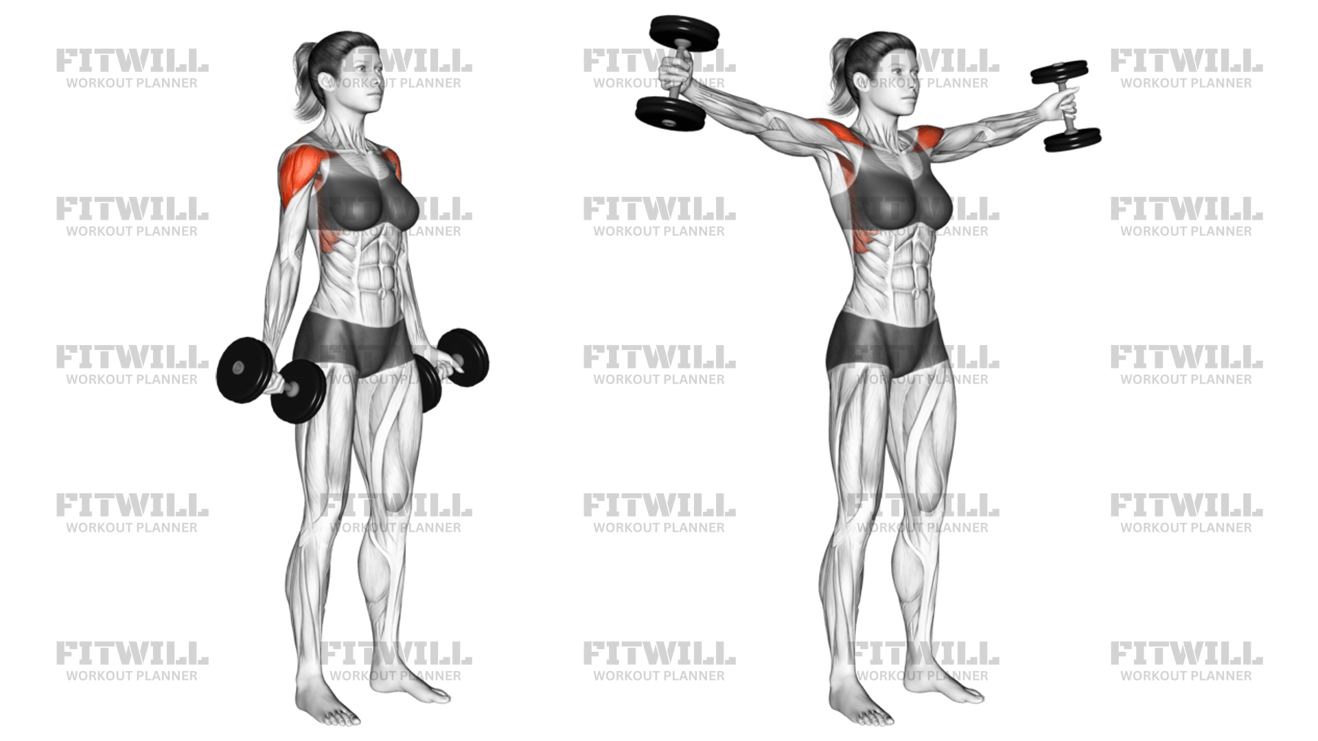 Dumbbell Full Can Lateral Raise: Exercise Guide, Techniques, Benefits, How to, Muscles Worked ...