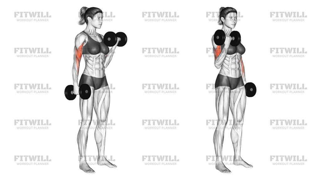 How to do Dumbbell Alternate Biceps Curl: Techniques, Benefits, Tips ...