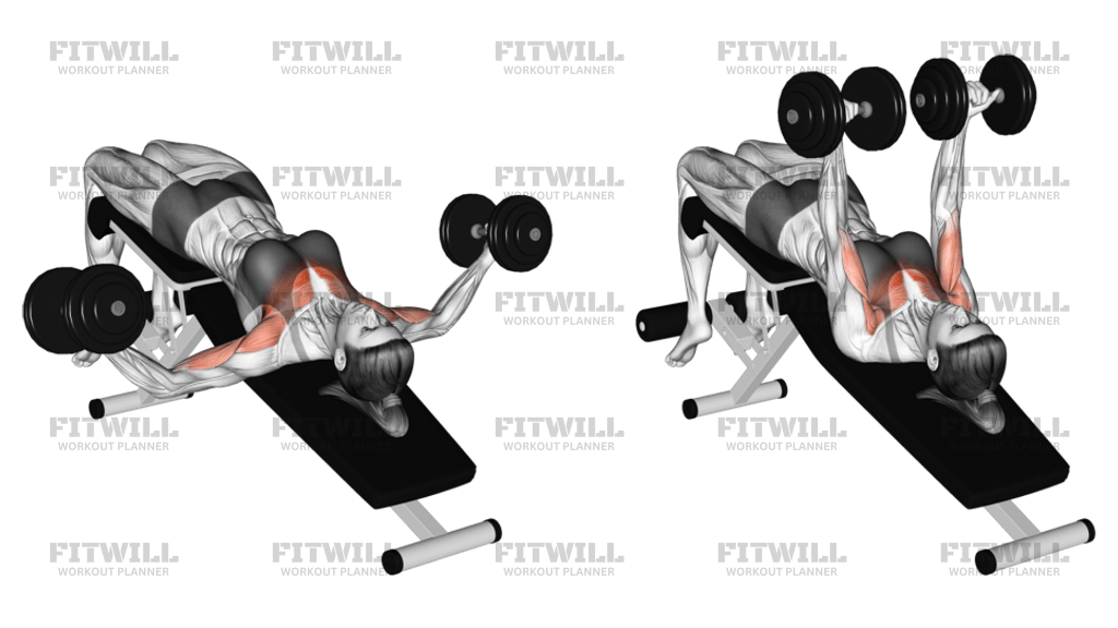 How to do Dumbbell Decline Twist Fly: Techniques, Benefits, Tips ...