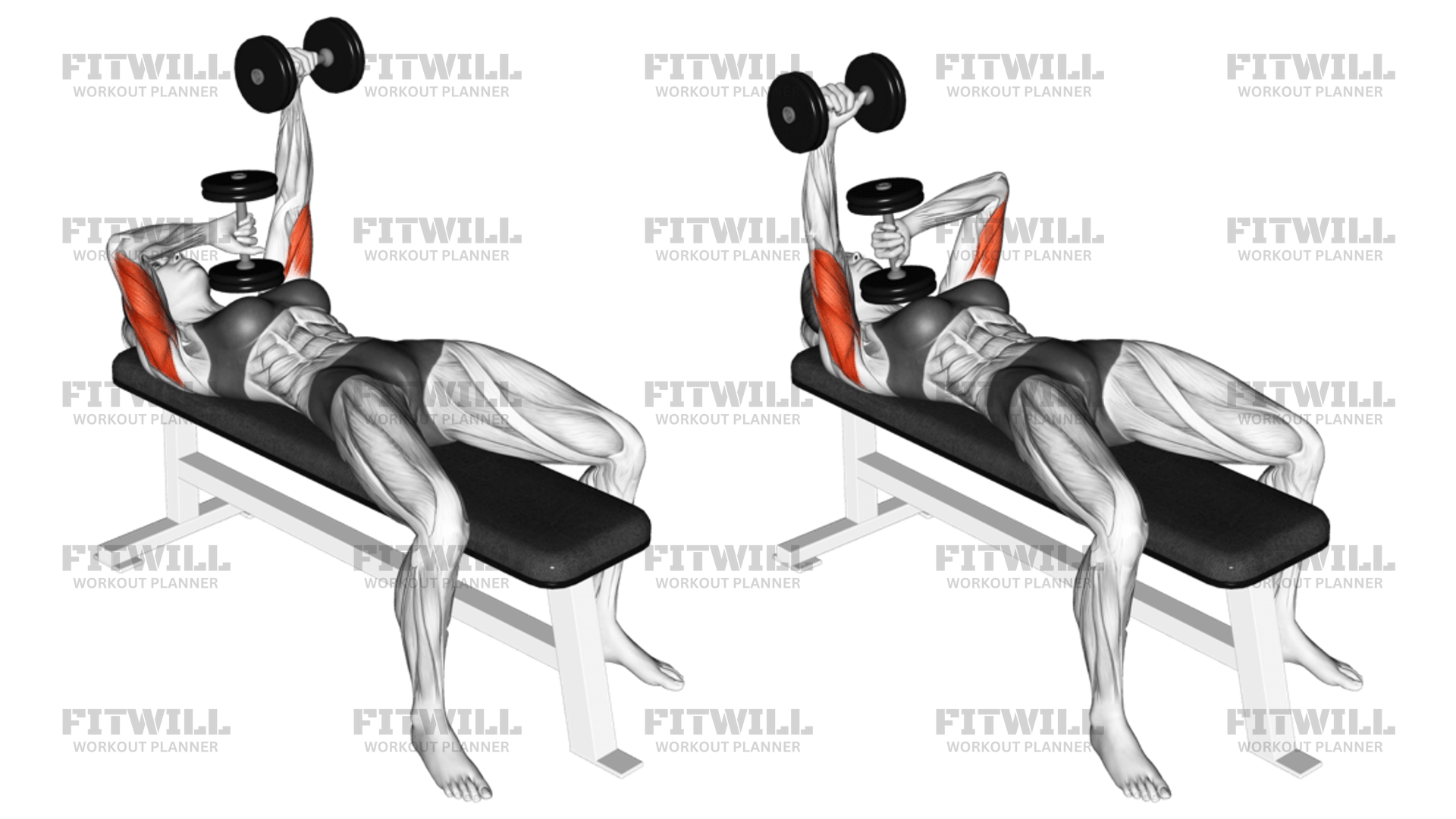 Dumbbell Lying Extension Across Face: Exercise Guide, Techniques ...