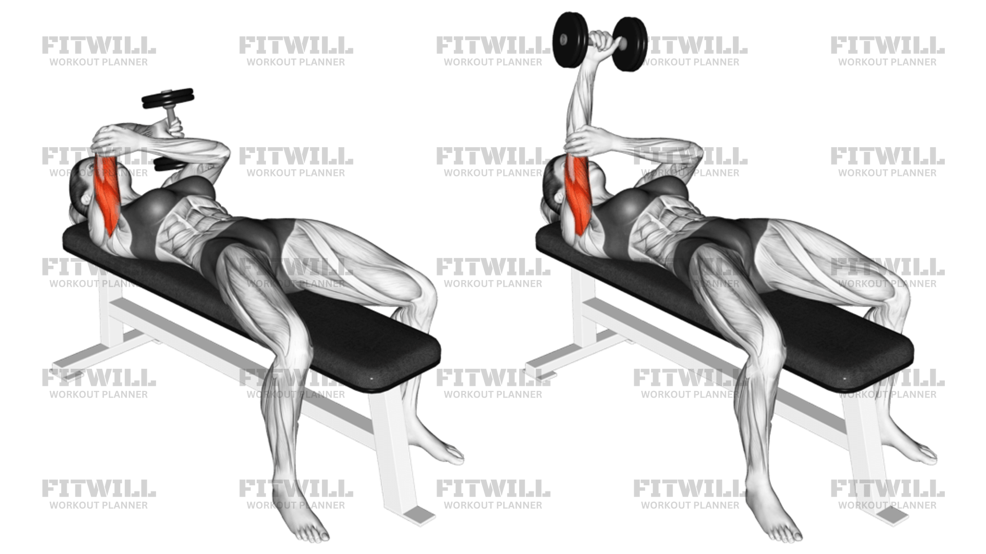 Dumbbell Lying One Arm Pronated Triceps Extension: Exercise Guide ...