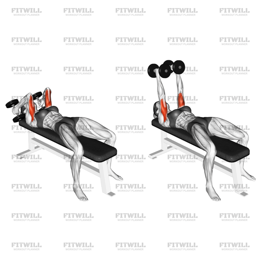 Dumbbell Lying Triceps Extension: Exercise Guide, Video, Techniques, Benefits, How to, Muscles ...