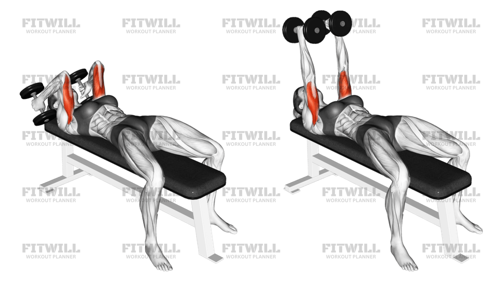 Dumbbell Lying Triceps Extension: Exercise Guide, Video, Techniques ...
