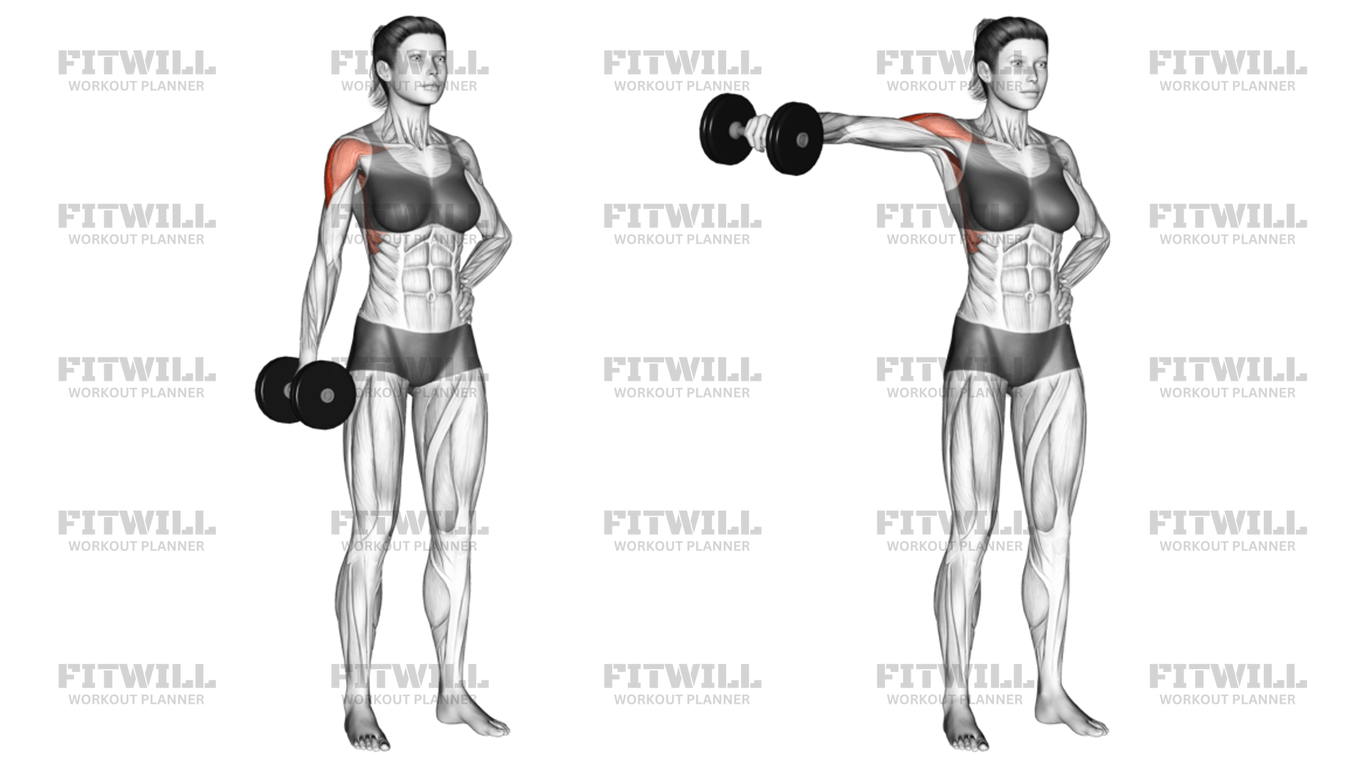 Elevación Lateral Con Mancuerna A Un Brazo: Guía de Ejercicios, Video ...