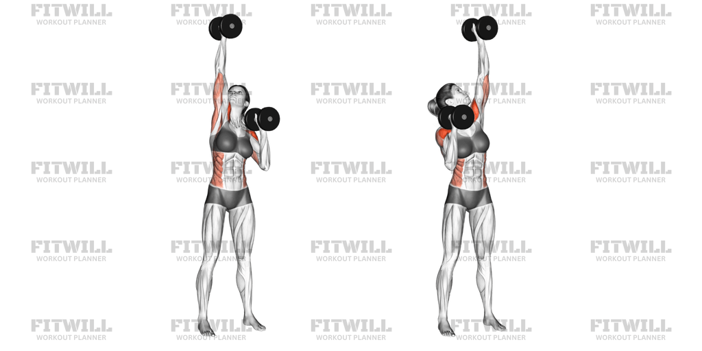 Press Alterno Con Mancuerna: Guía de Ejercicios, Video, Técnicas ...