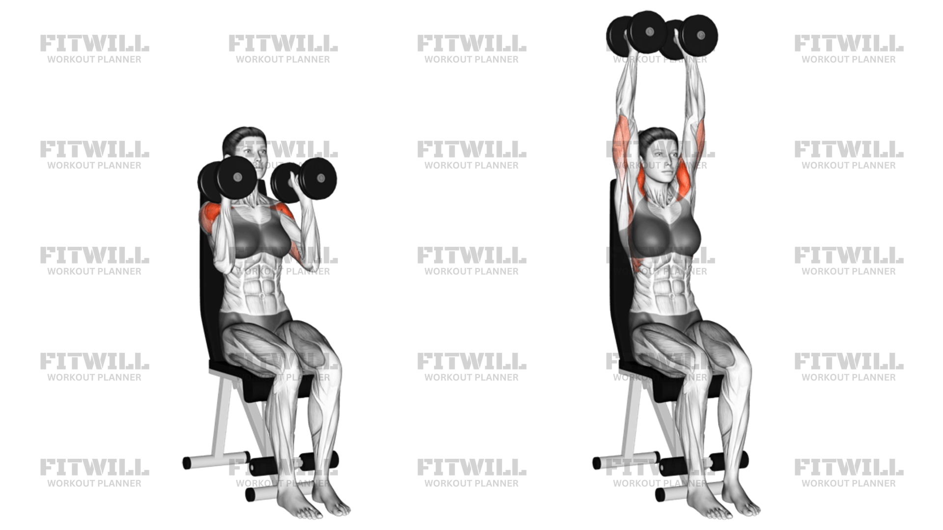 Dumbbell Seated Shoulder Press (parallel Grip): Exercise Guide ...