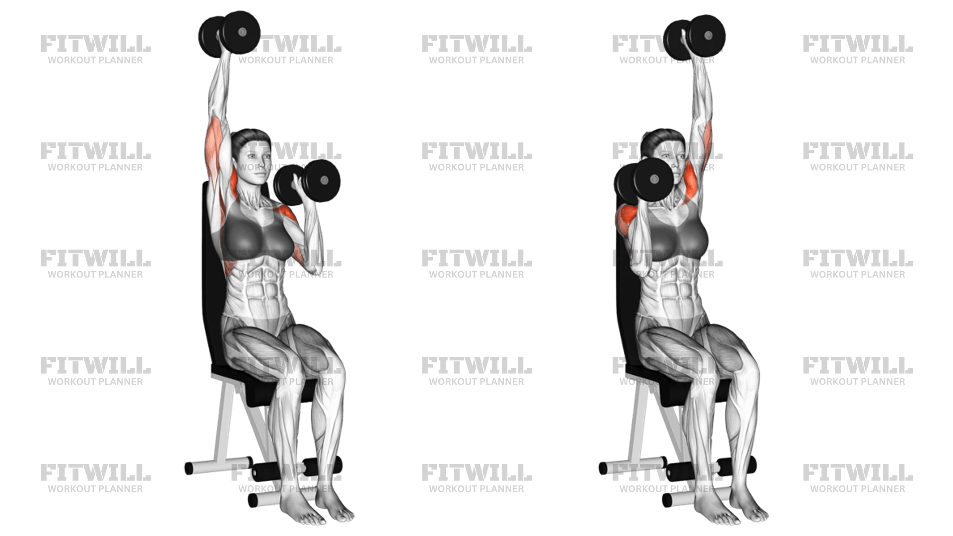 Press Alterno Sentado Con Mancuernas: Guía de Ejercicios, Técnicas ...