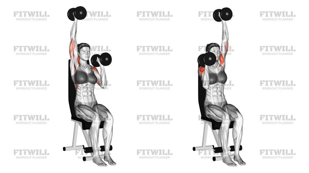 Dumbbell Seated Alternate Press: Exercise Guide, Techniques, Benefits ...